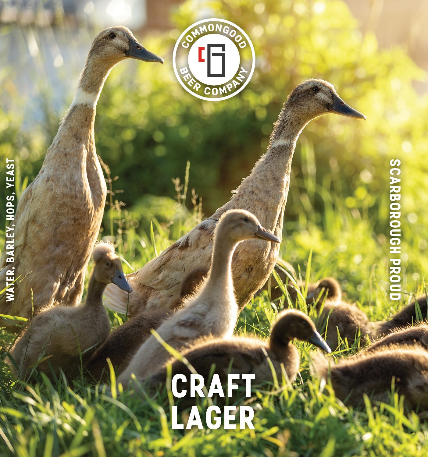 'Runner Duck' Craft Lager – Common Good Beer Company